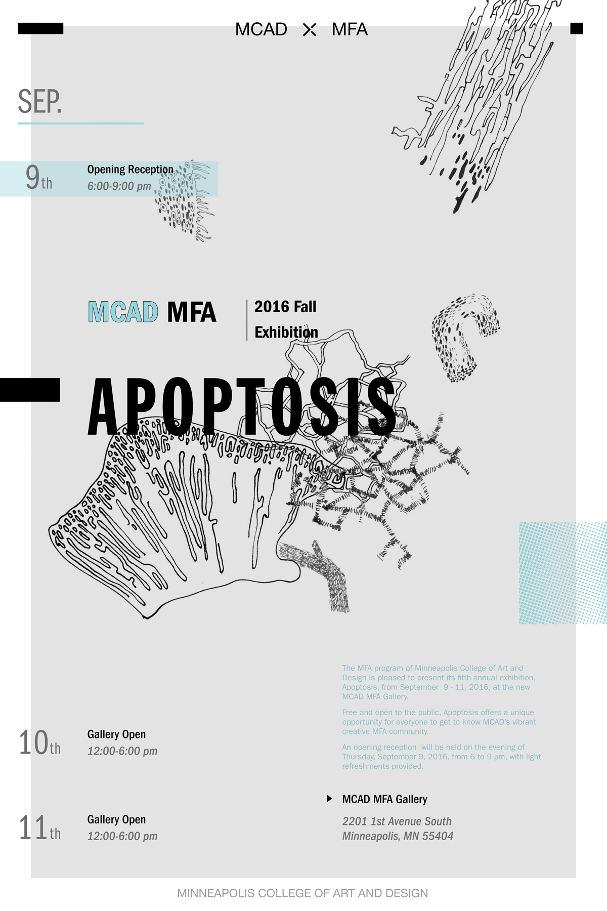 Apoptosis – Xiaohan Ma